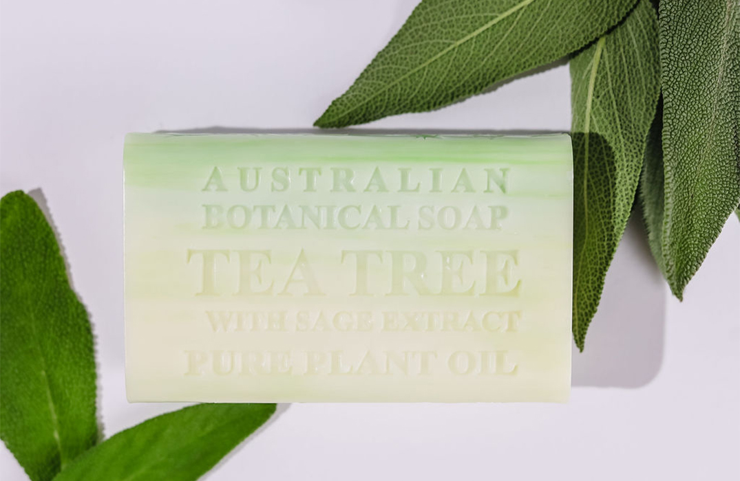 Tea Tree Soap with Sage Extract 4 Pack | Australian Botanical Soap